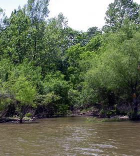 Spoonbill Sandbar/Two Rivers Point (3 Days/ 2 Nights) | Alabama State ...