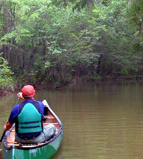 Fisher Island Trail | Alabama State Lands Canoe Trails