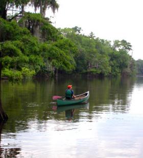 Douglas Lake Trail | Alabama State Lands Canoe Trails