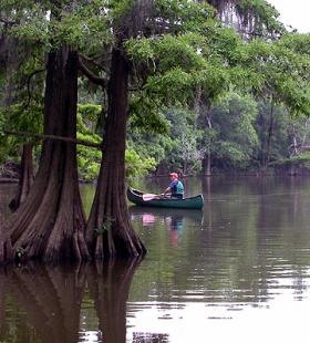 Douglas Lake Trail | Alabama State Lands Canoe Trails