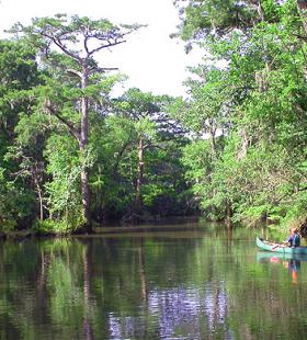 Two Rivers Point (2Days/1Night) | Alabama State Lands Canoe Trails