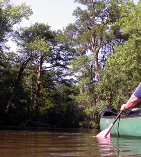 Two Rivers Point (2Days/1Night) | Alabama State Lands Canoe Trails